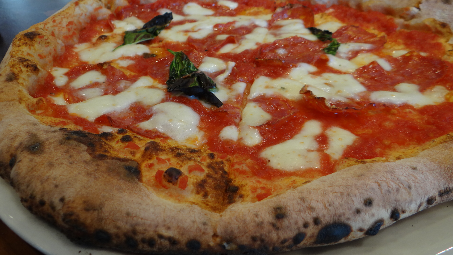 Pizzeria Testa Is Screaming Good Pizza - cravedfw