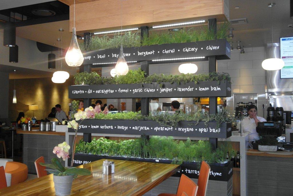 LYFE Kitchen Opening Three Locations In Dallas Area - cravedfw