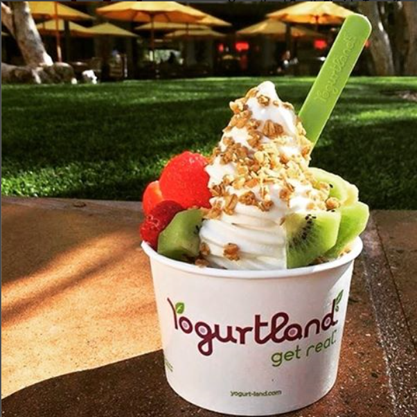 My First FroYo Experience - cravedfw