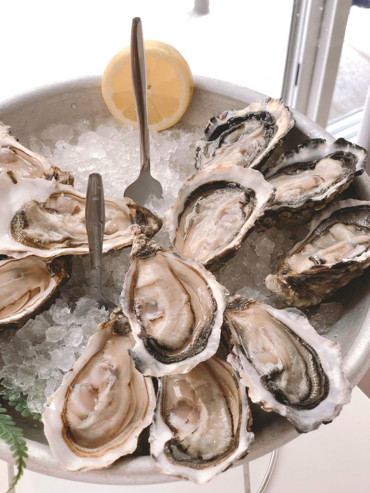 Fish City Grill and Half Shells Locations to Celebrate Oysterfest Nov ...