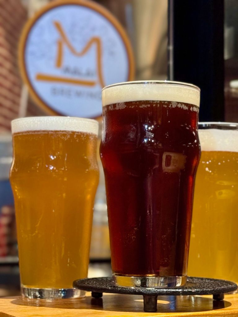 Malai Kitchen Seasonal Beers Available Now Through October 6 in Oktoberfest Tap Takeover - cravedfw
