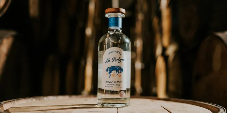 La Pulga Adds Sotol, Crafted in Northern Mexico, to Growing Portfolio ...