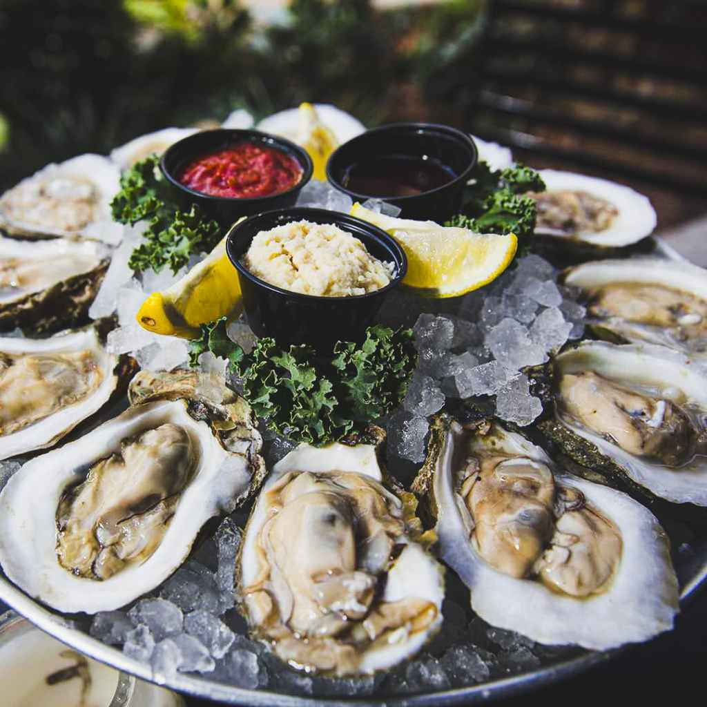 Celebrate Drinksgiving at Fish City Grill and Half Shells Nov. 29-30 ...